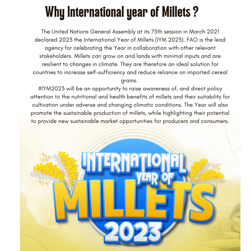 Native Pods Barnyard Millet Unpolished 500gm- Sanwa - Gluten free and ...