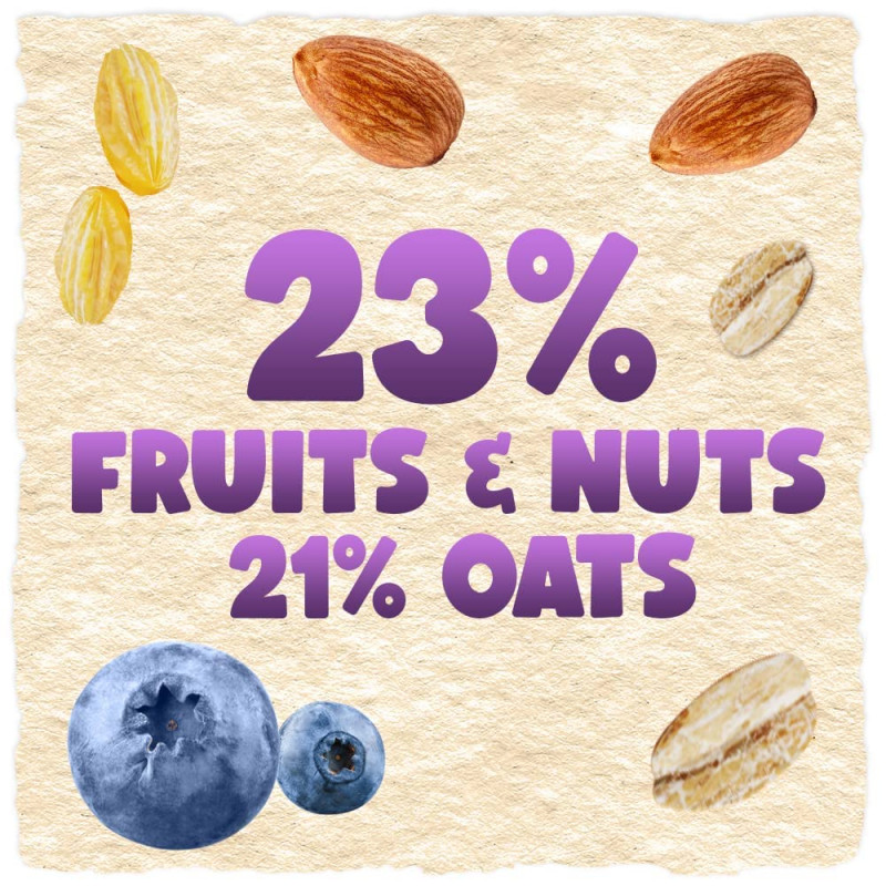 Manna Blueberry Breakfast Cereal | Multigrain cereal for kids | Millets ...