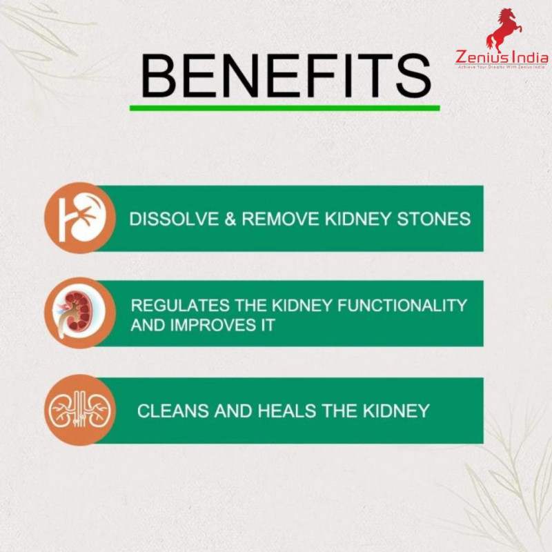 Zenius Stonil Capsule for kidney stone removal medicine | Kidney stone ...