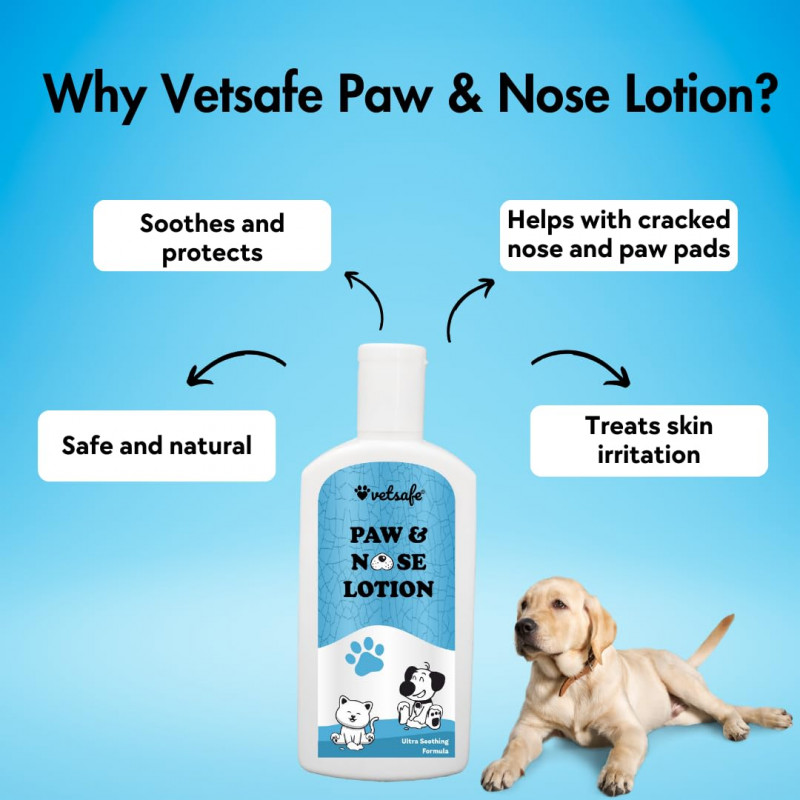 VetSafe Paw and Nose Lotion for Dogs 100 ml | Best Treatment for Dogs ...