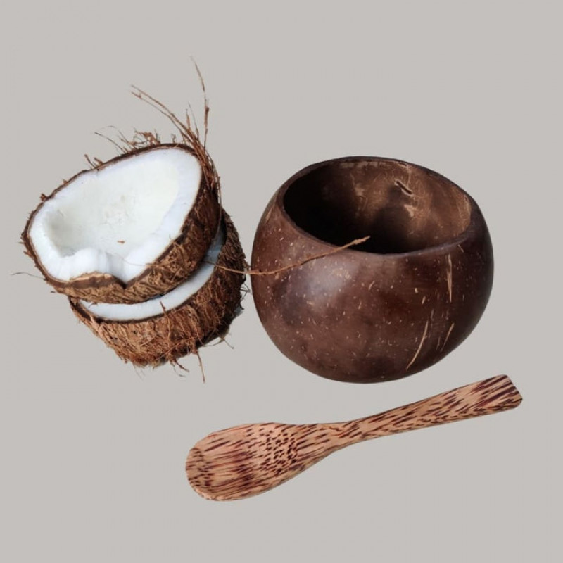ONEarth Small Coconut Shell Bowl with spoon | Sustainable tableware ...