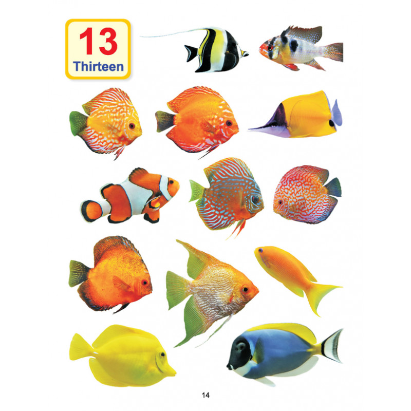 Number Book 123 Learning Numbers | Early Childhood Education | Counting ...