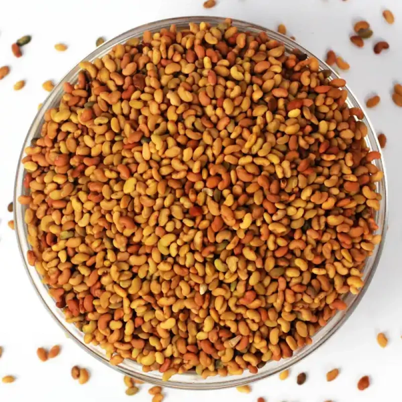 Dry Fruit Hub Alfalfa Seeds | Nutrient-dense snacks | Weight loss aids ...