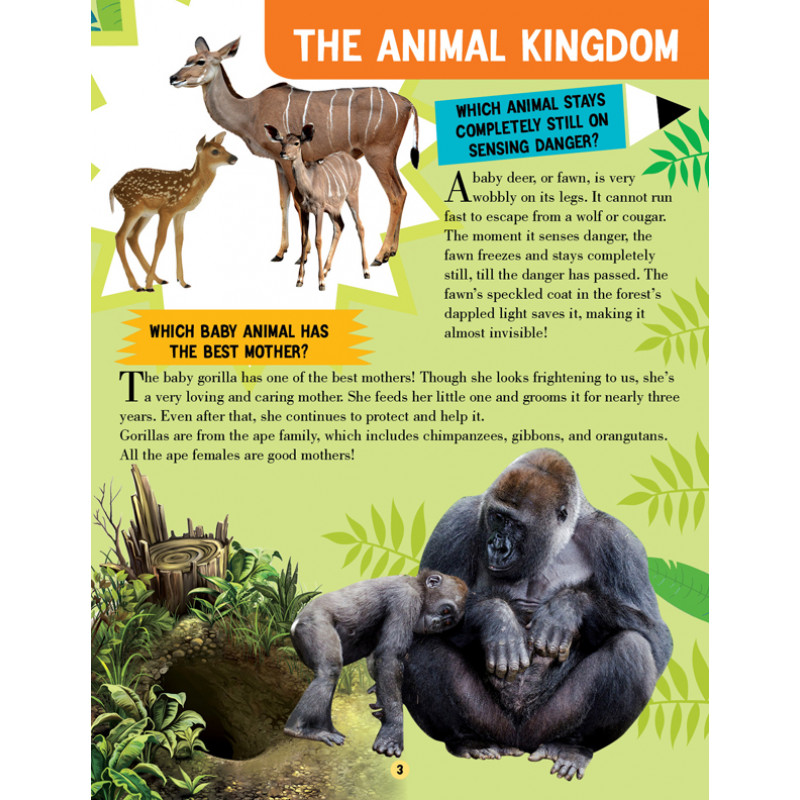 Animal World Children Encyclopedia for Age 5 to 15 Years All About ...