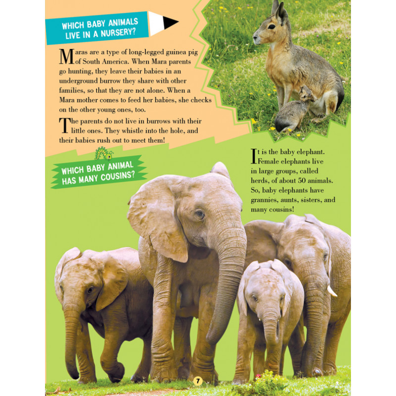 Animal World Children Encyclopedia for Age 5 to 15 Years All About ...