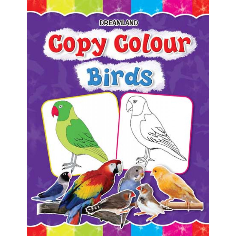 Copy Color - Birds | Color recognition book | Children's educational ...