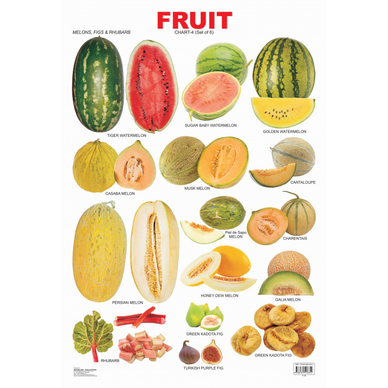 Kids' Fruit Laminated Wall Chart-4 (Set of 6) | Colorful Fruit Display ...