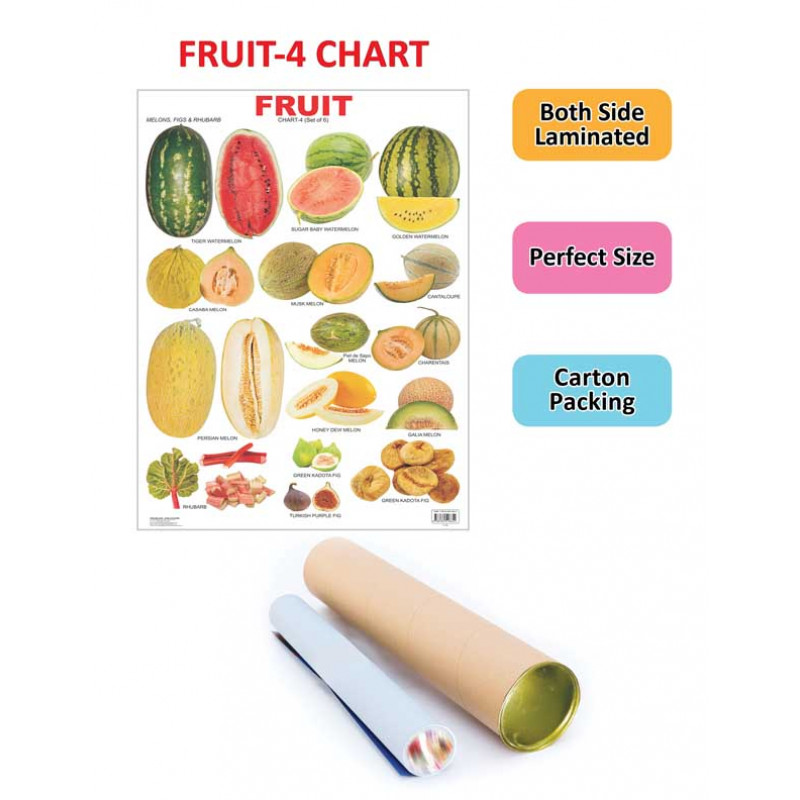 Kids' Fruit Laminated Wall Chart-4 (Set of 6) | Colorful Fruit Display ...