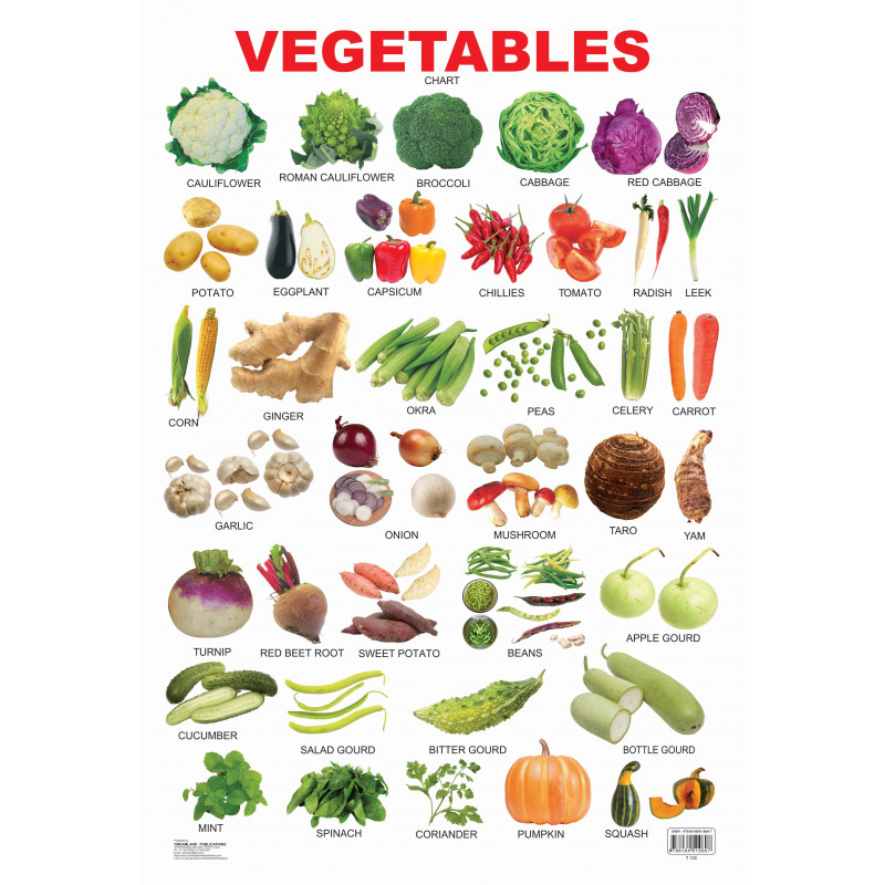 Dreamland Preschool learning charts | Educational laminated wall charts ...