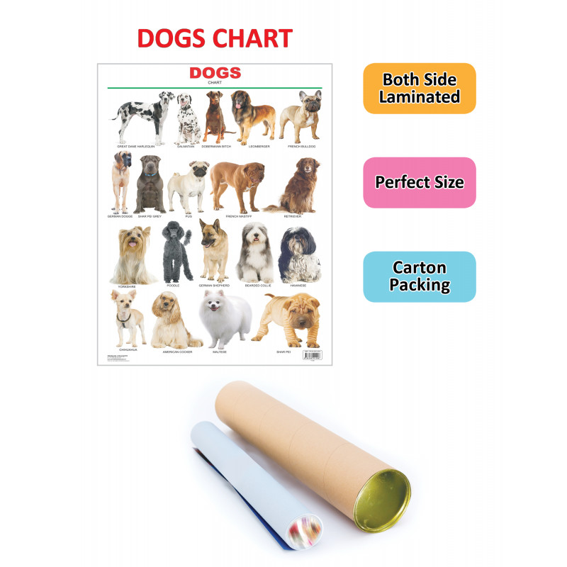 Dogs Laminated Chart | Informative Dog Chart | Durable Laminated Chart ...