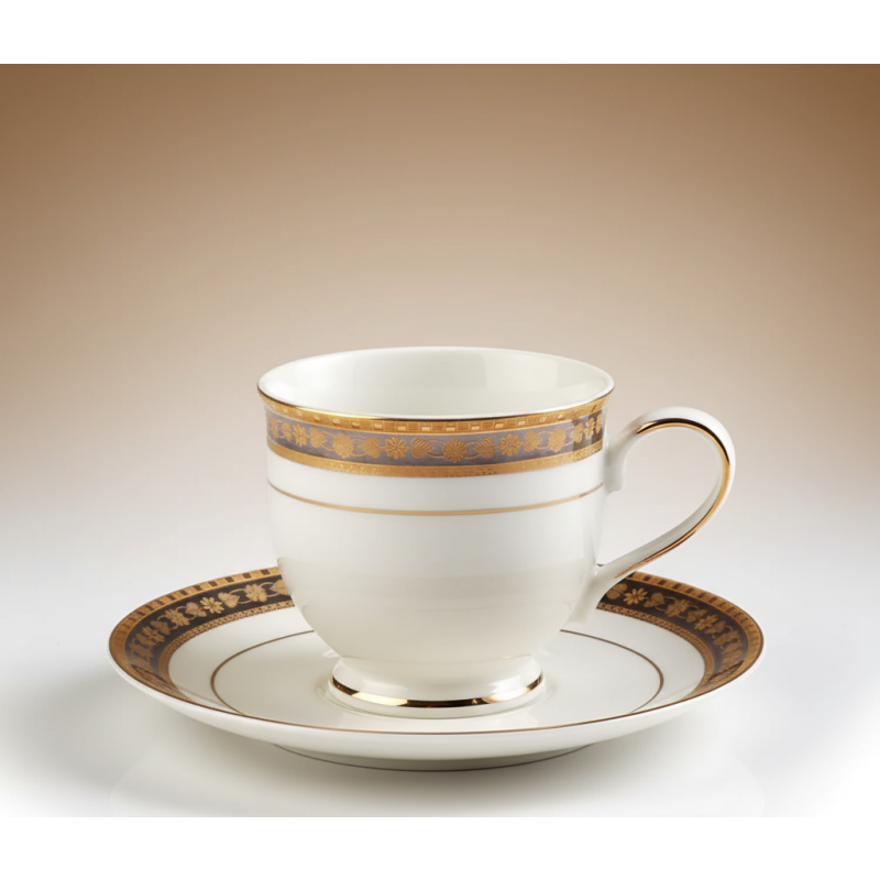 Hitkari Premium Porcelain Tea Cup & Saucer Set | Microwave & Dishwasher ...